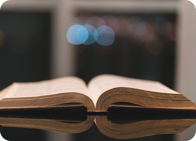 Virtual Platform Services: Modeling, Training, Consulting - machine-ware.de